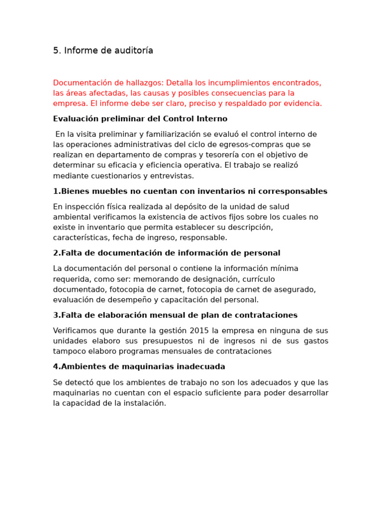 Informe de Auditoria | PDF