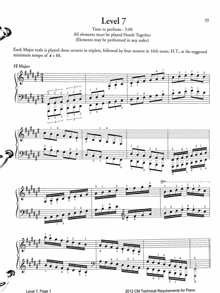 CM Level 7 Tech Req | PDF