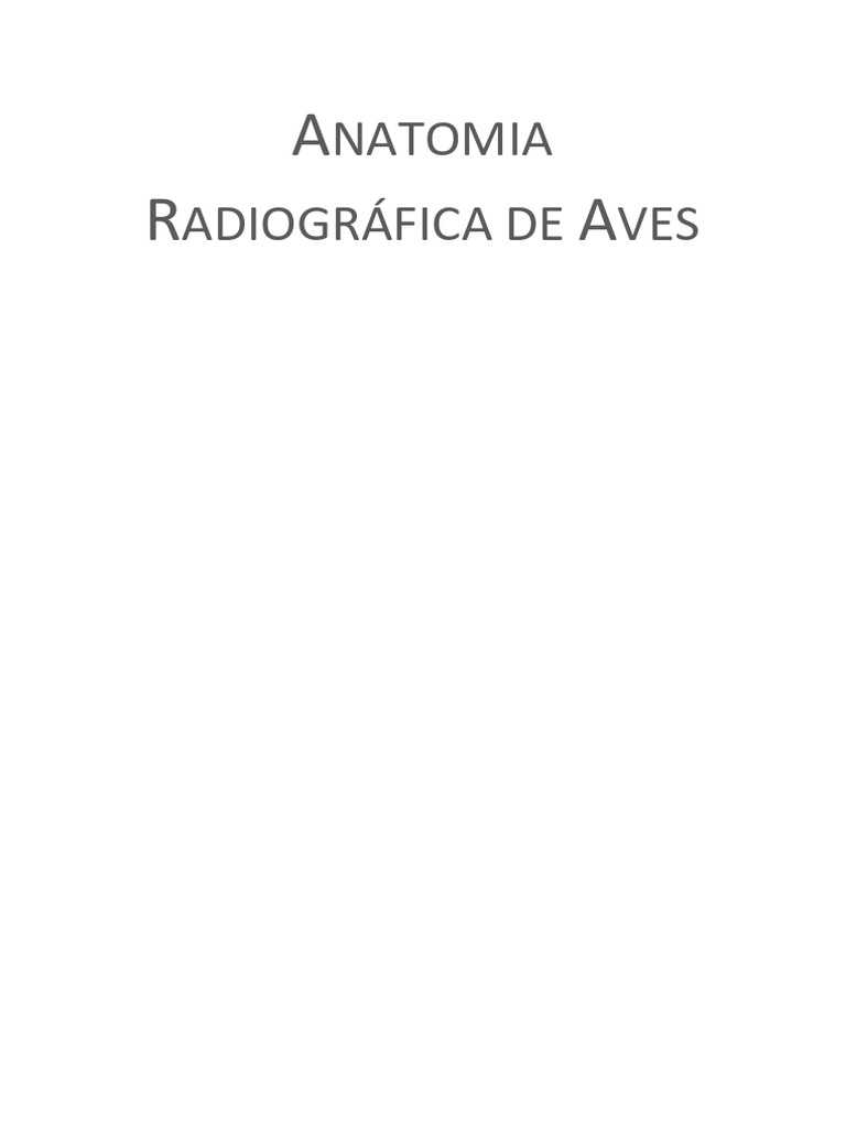 Yulle - Anatomia Radiográfica de Aves e Roedores | PDF