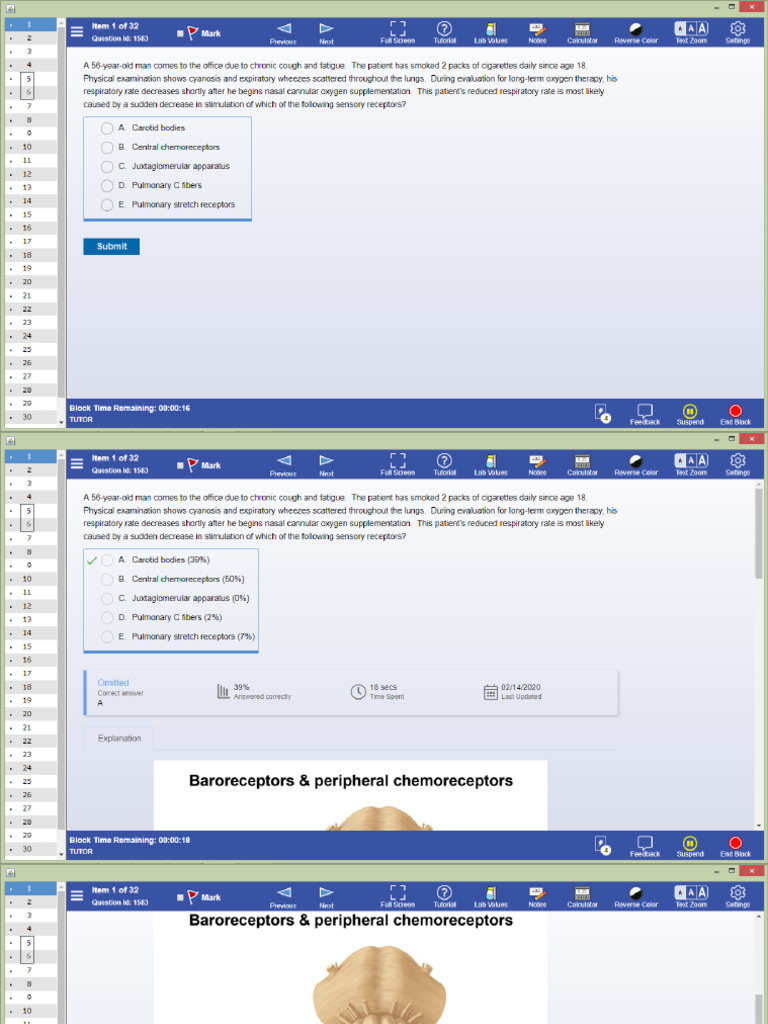 Physio Respiratory | PDF