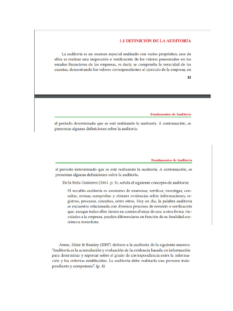 Concepto de Auditoria | PDF