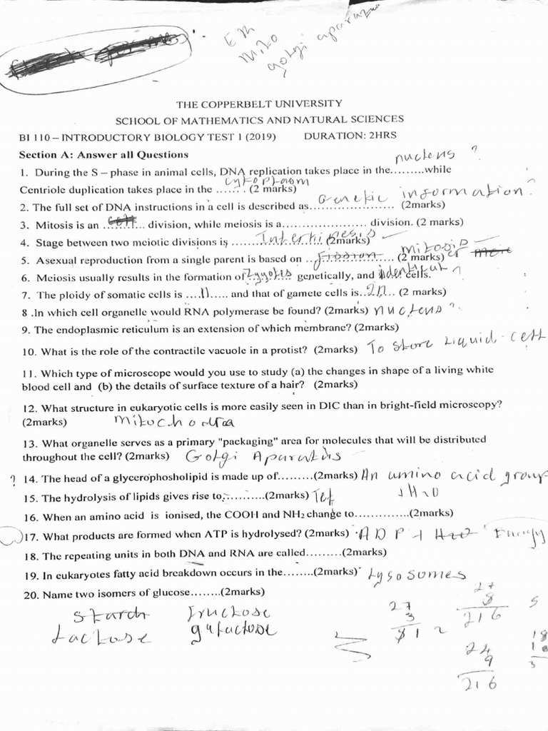 Bi 110 Test 1 (2019 | PDF