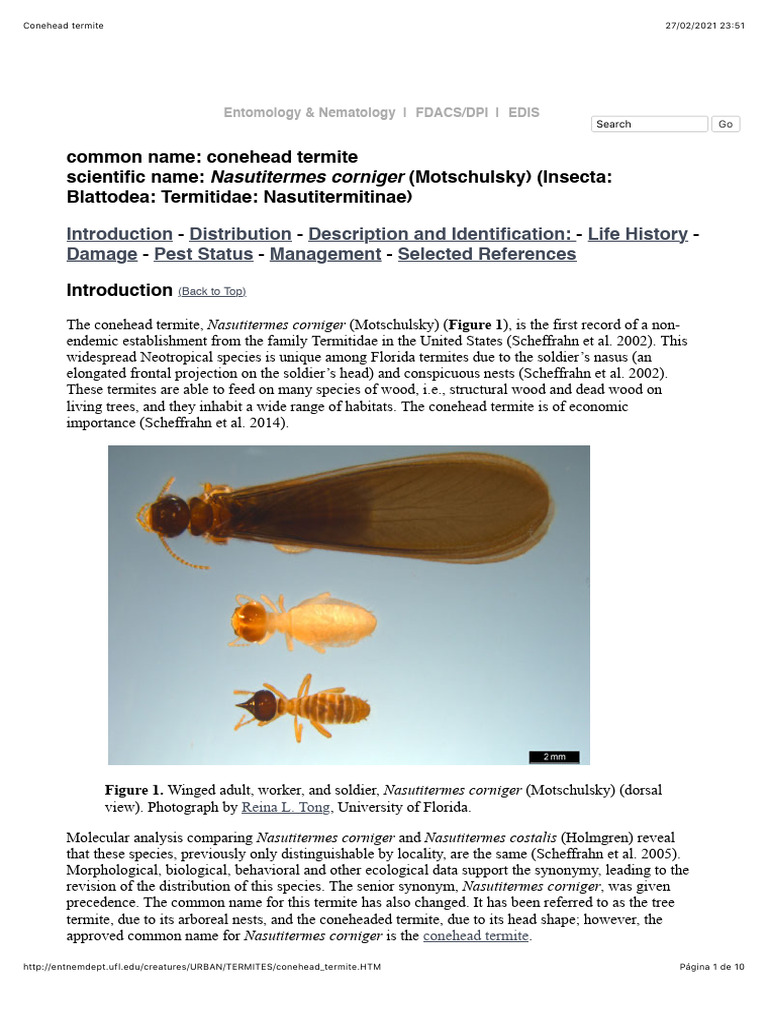 ISOPTERA Nasuttermes | PDF