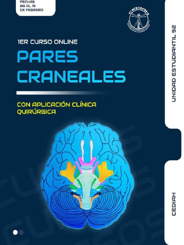 III Par Craneal - Nervio Motor Ocular Común | PDF