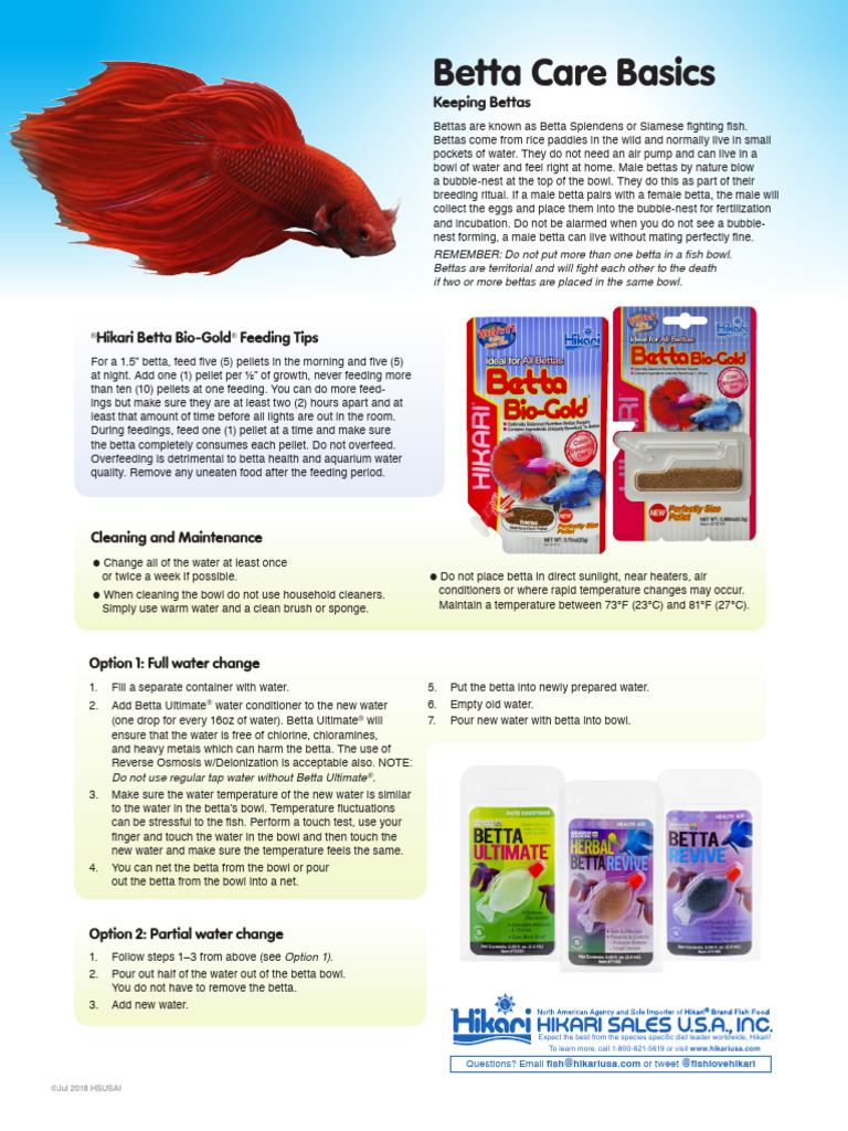 Betta Care Sheet | PDF