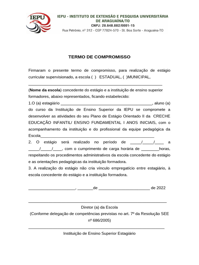 TERMO DE COMPROMISSO | PDF