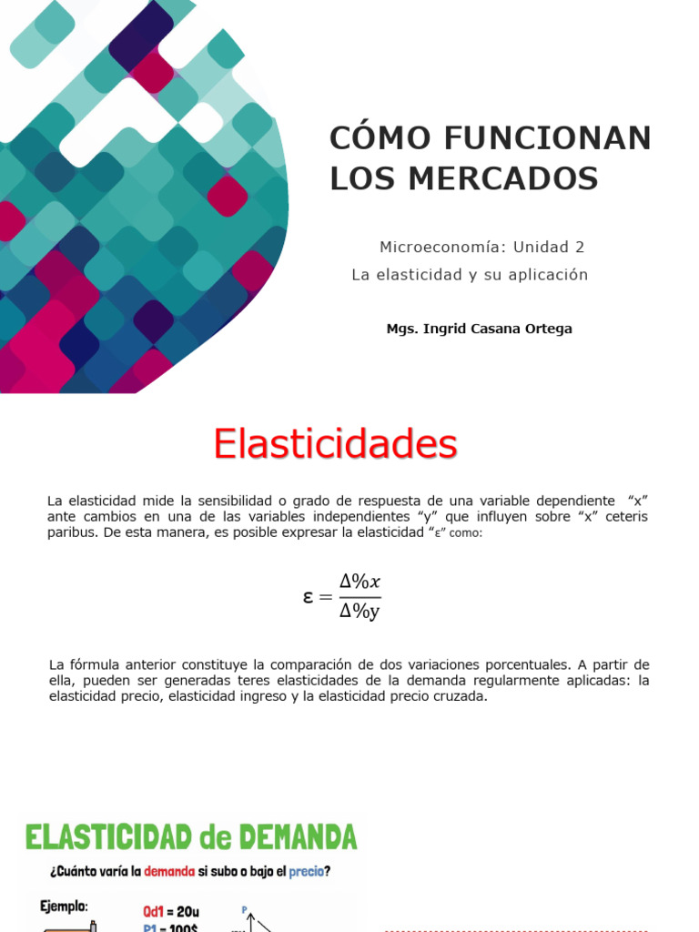 Elasticidad Demanda | PDF