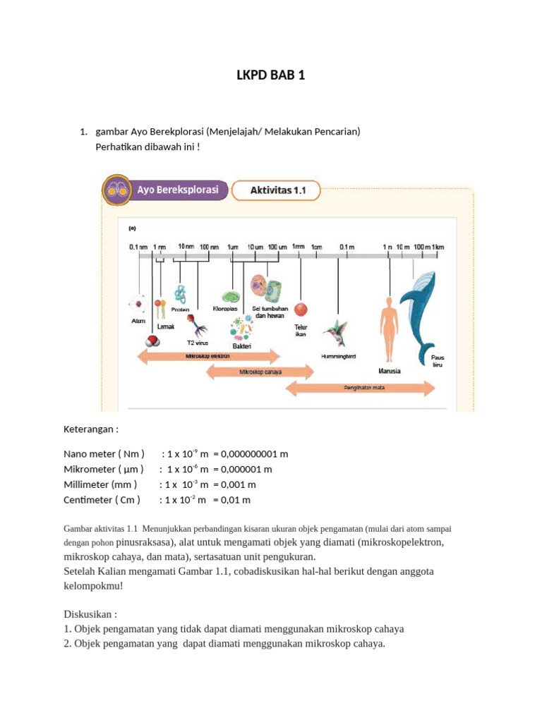 LKPD BAB 1 Bio Kelas XI | PDF