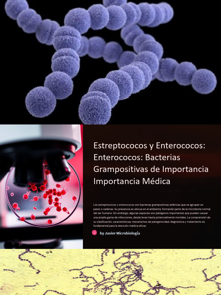 Estreptococos Enterococos | PDF