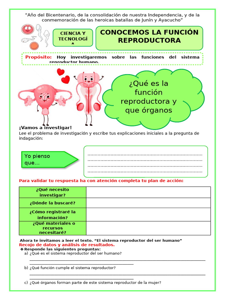 Ficha-Mier 31-05 Cyt-Conocemos La Función Reproductora | PDF