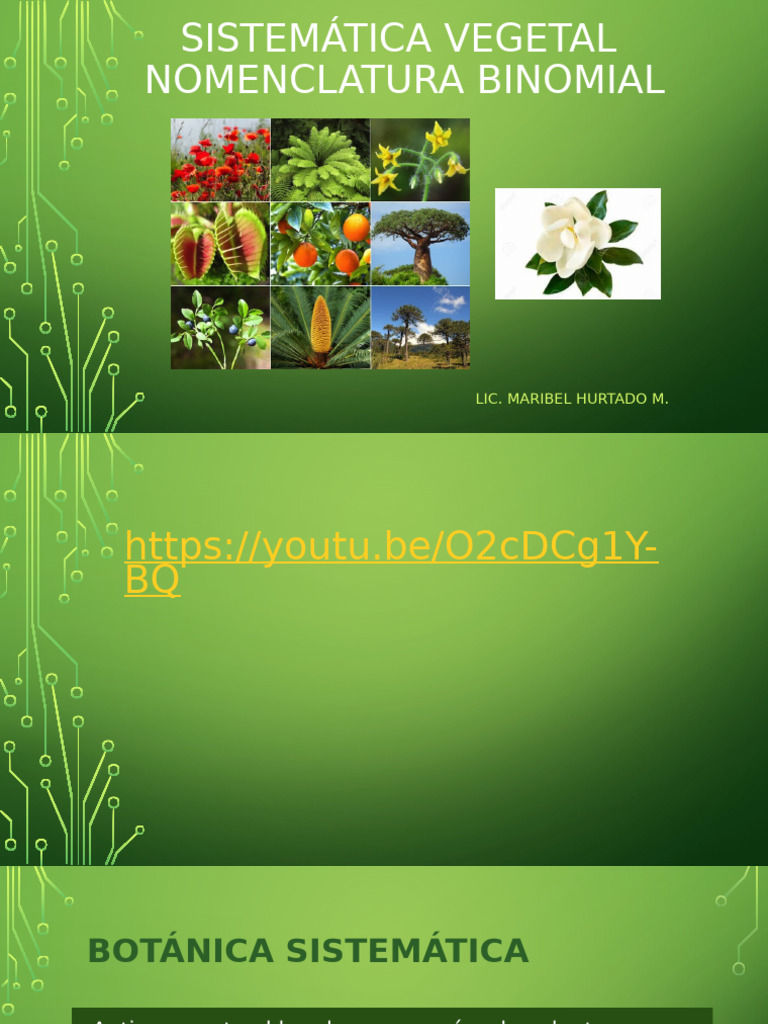 Tema 15 Nomenclatura Binomial y Monocotiledoneas | PDF