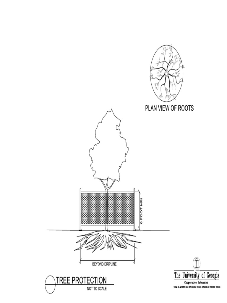 Tree Protection | PDF