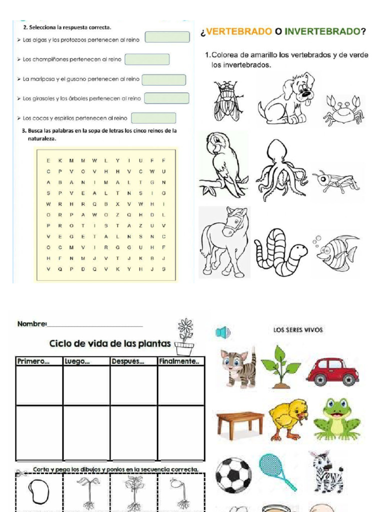 Actividades de Seres Vivos | PDF