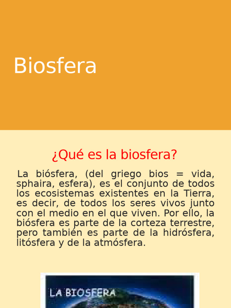 2.3, Biosfera | PDF
