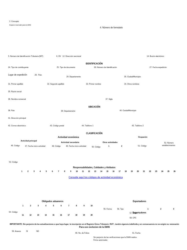 Rut Editable para Envio A La Dian. | PDF