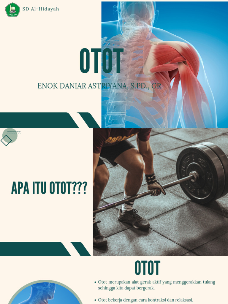 OTOT | PDF