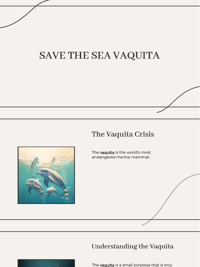 Slidesgo Saving The Sea Vaquita Understanding Challenges and Solutions ... Slidesgo Saving The Sea Vaquita Understanding Challenges and Solutions ...