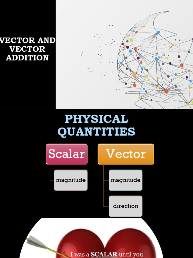 Vectors Vector Addition Unit Vector | PDF