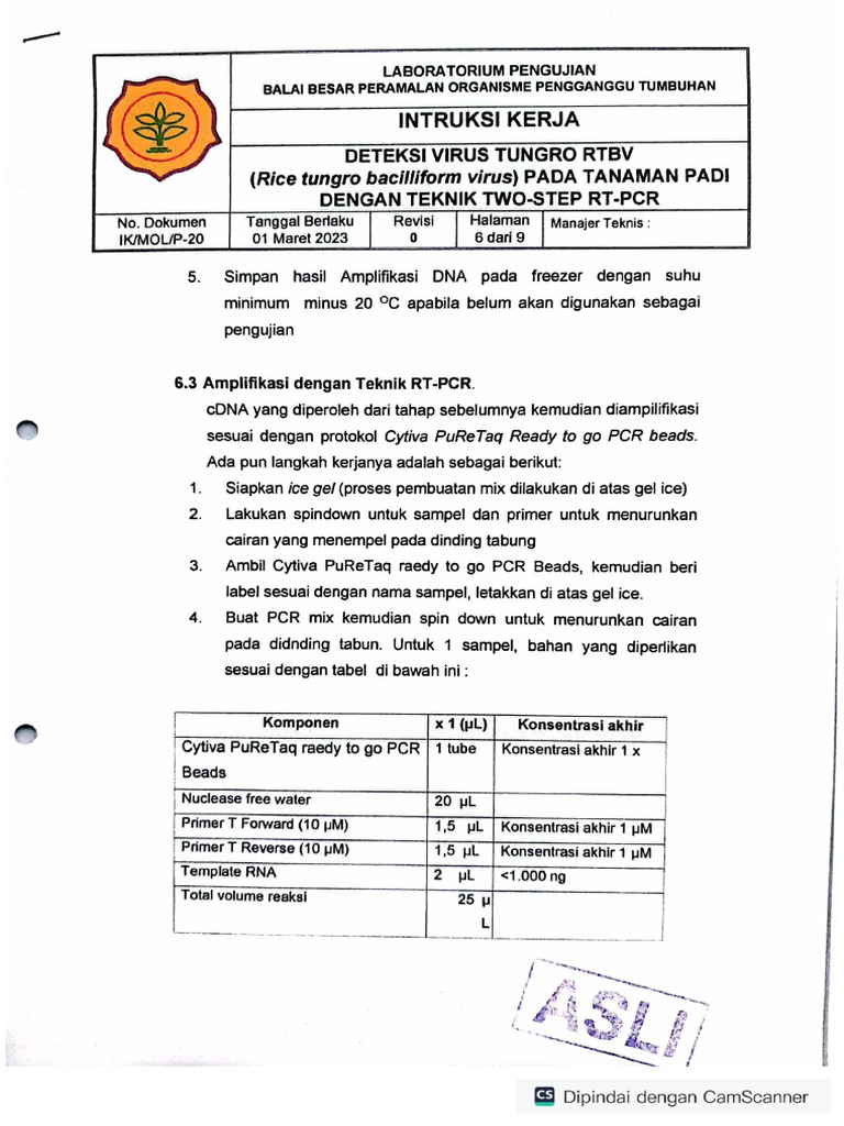 Deteksi Virus Tungro DG RTBV | PDF