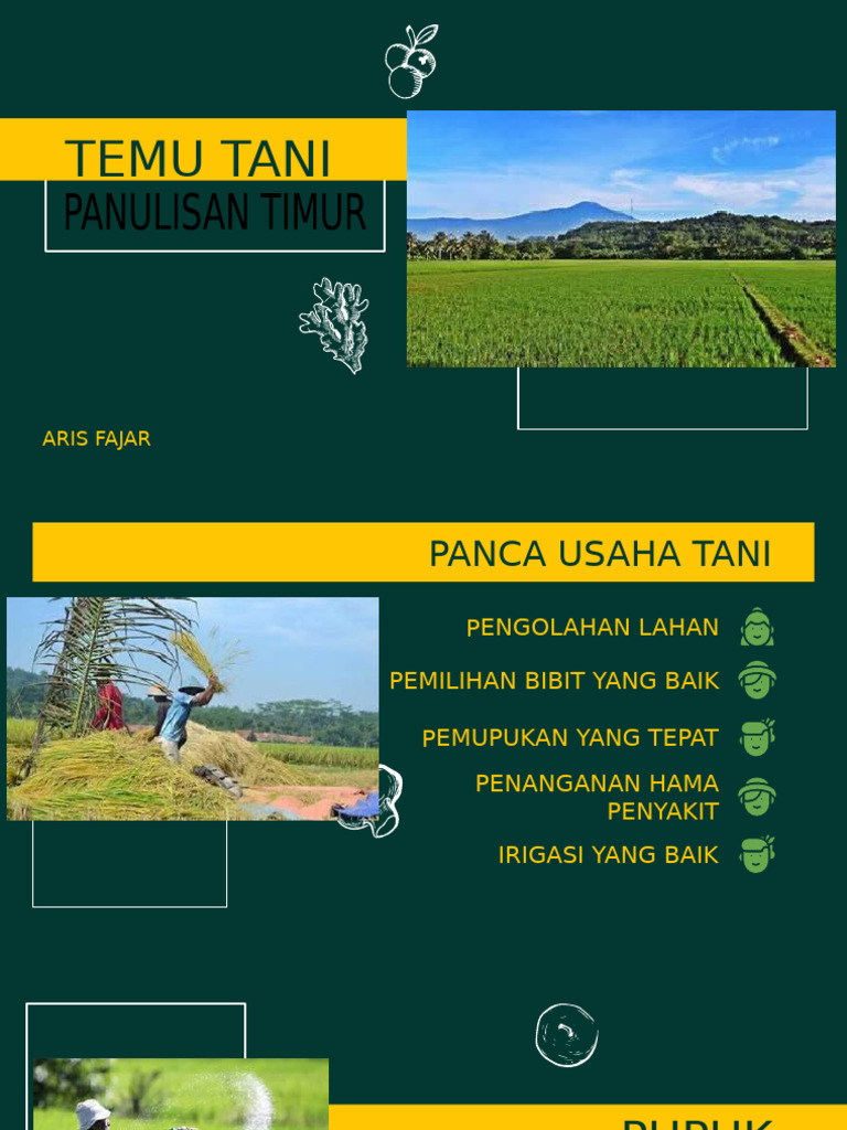 Pemupukan Yang Tepat Untuk Tanaman Padi | PDF