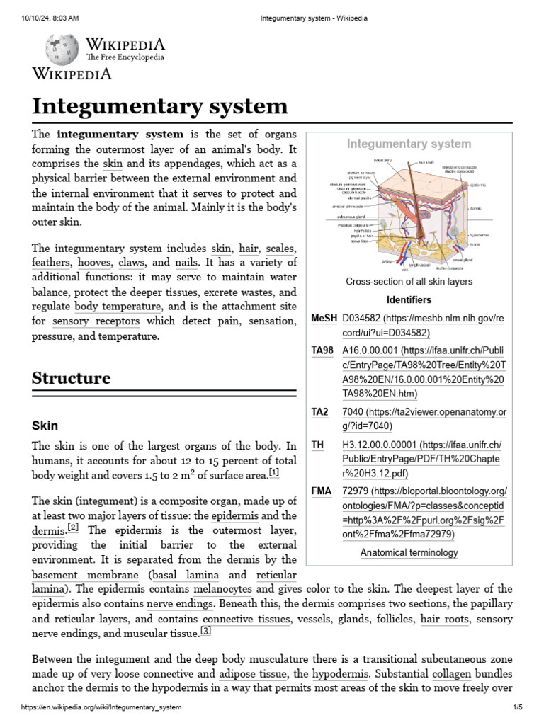 Integumentary System - Wikipedia | PDF