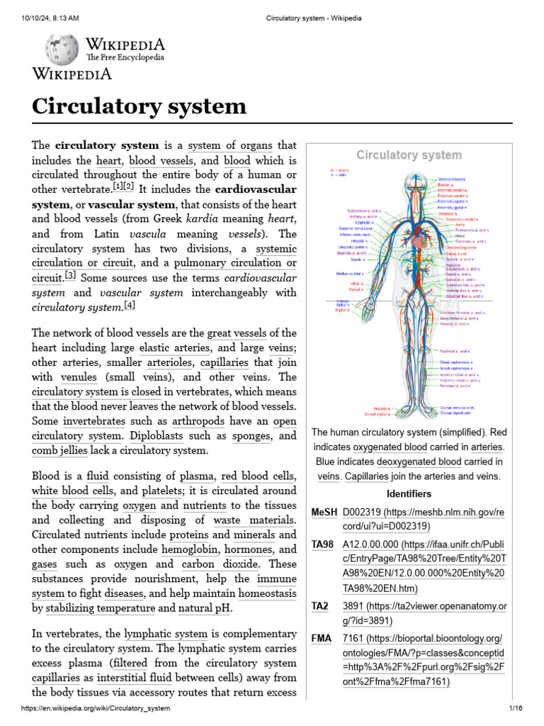 Circulatory System - Wikipedia | PDF