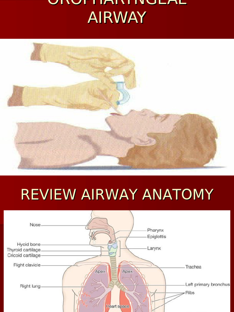 Oropharyngeal Airway | PDF