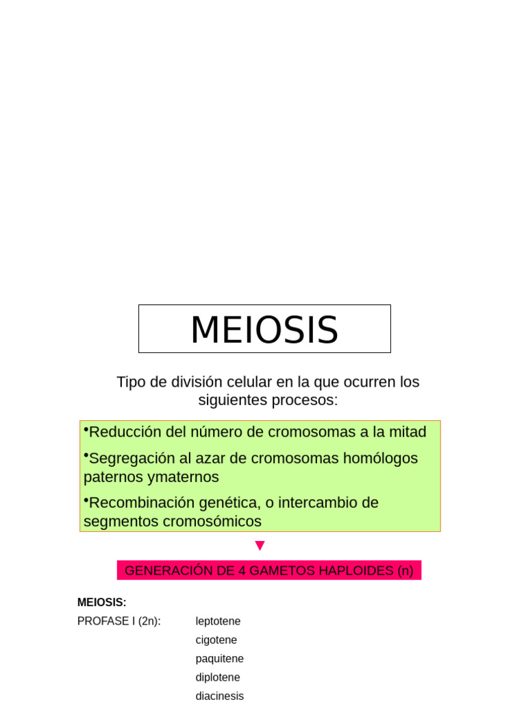 Meiosis | PDF