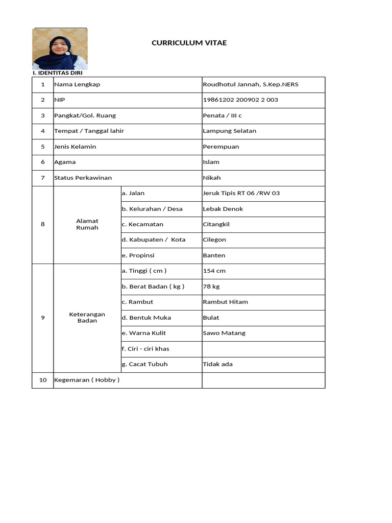 Contoh Form CV PNS | PDF