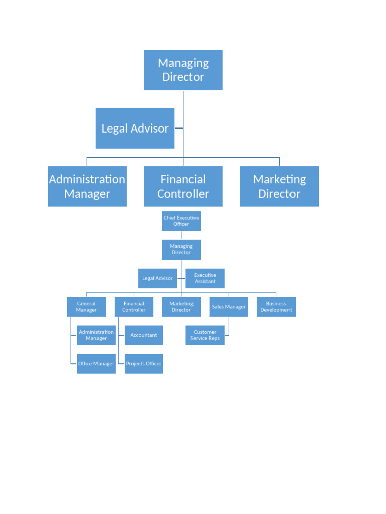 Managing Director | PDF