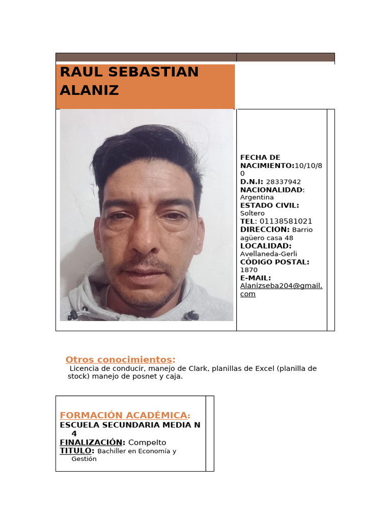 CV Sebastian | PDF