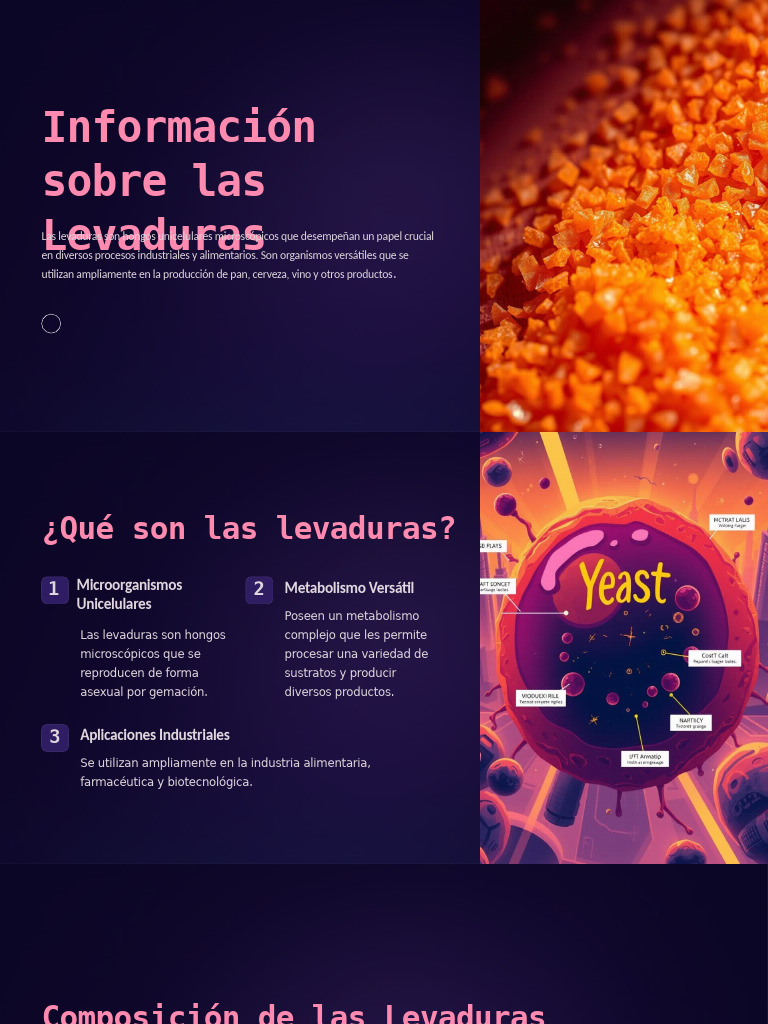 Informacion Sobre Las Levaduras Pdf