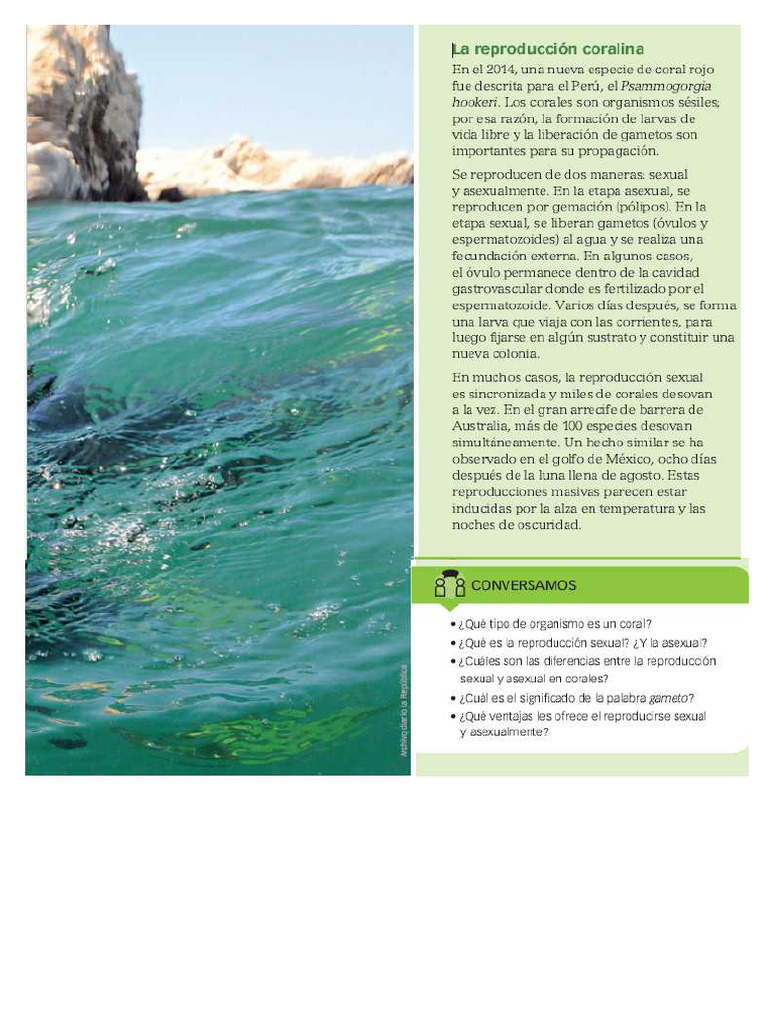 Biologia FP 2023 | PDF