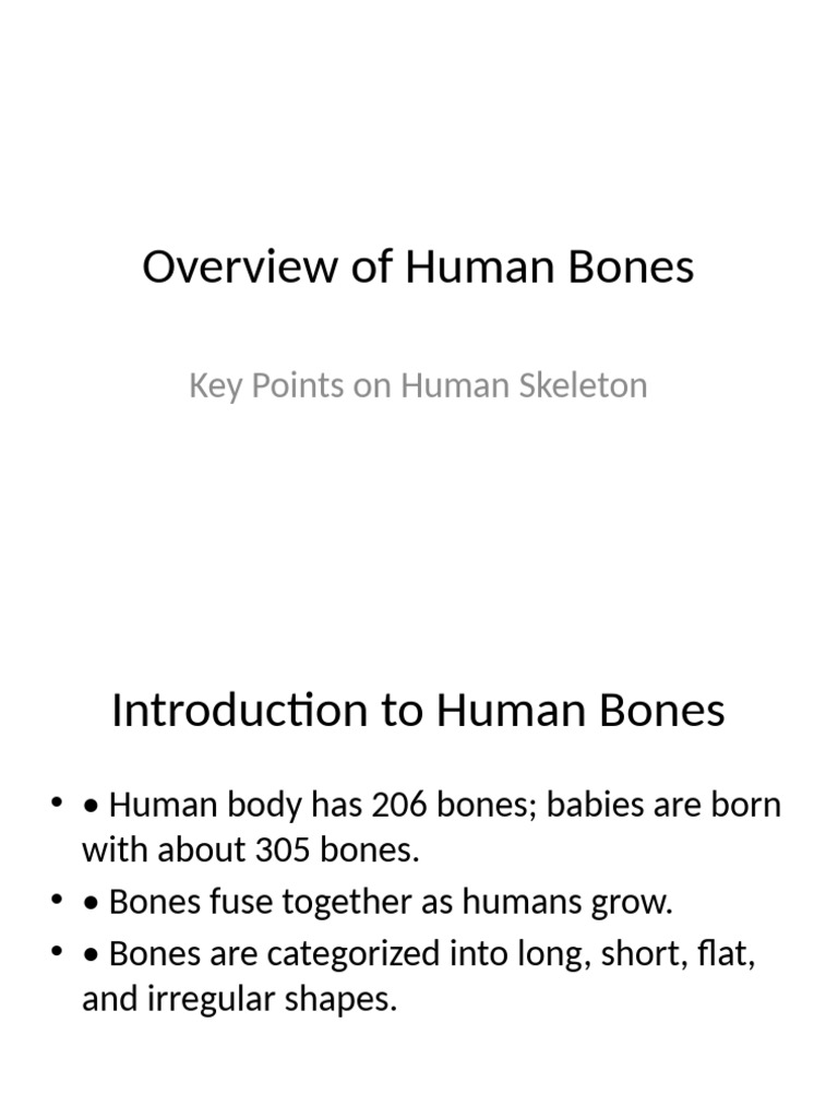 Human Skeleton Bones Presentation | PDF