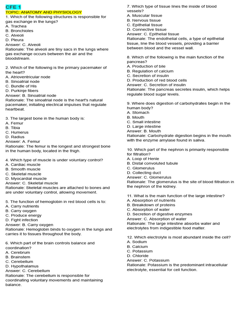 Cfe 1 5 Practice Questions 1 | PDF