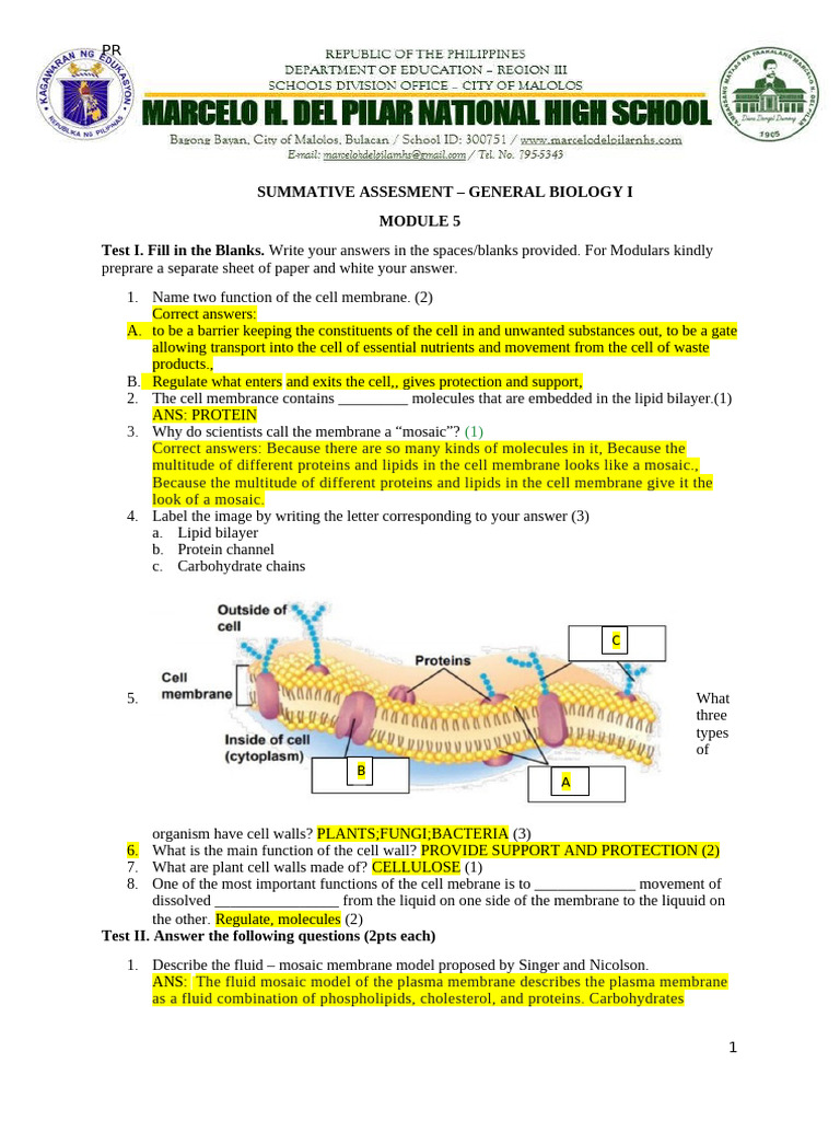 Module 5 Week 5 Summative Assesment Answer Key | PDF