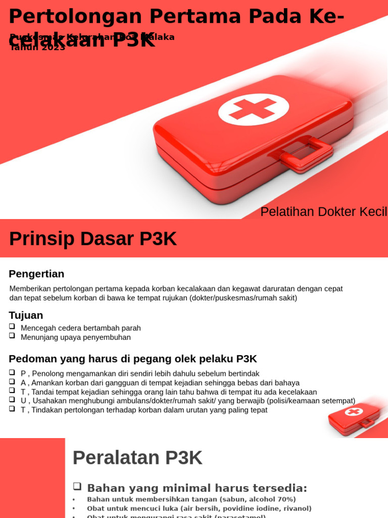 P3K Dokcil Roa Malaka | PDF