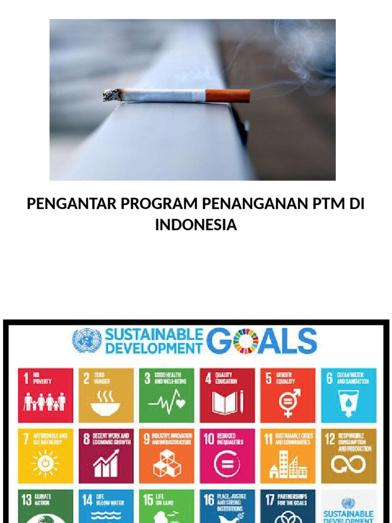 Pengantar Program Penanganan PTM Di Indonesia | PDF