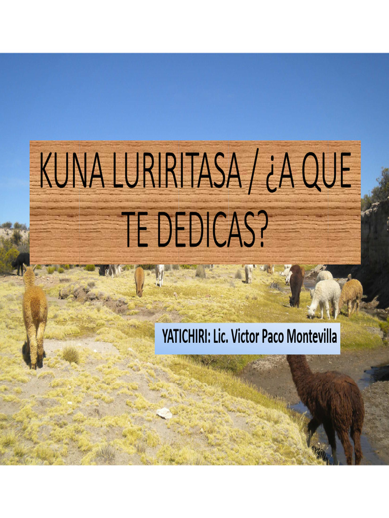 A Que Te Dedicas | PDF