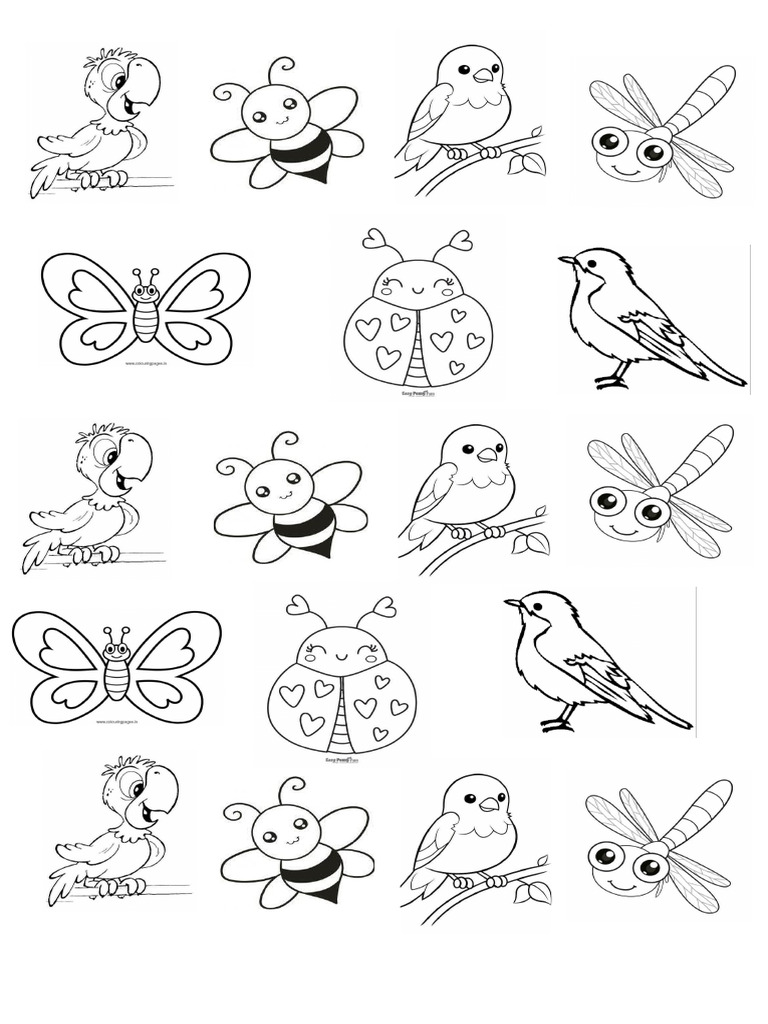 Animales Aereos OFICIO Colorear | PDF