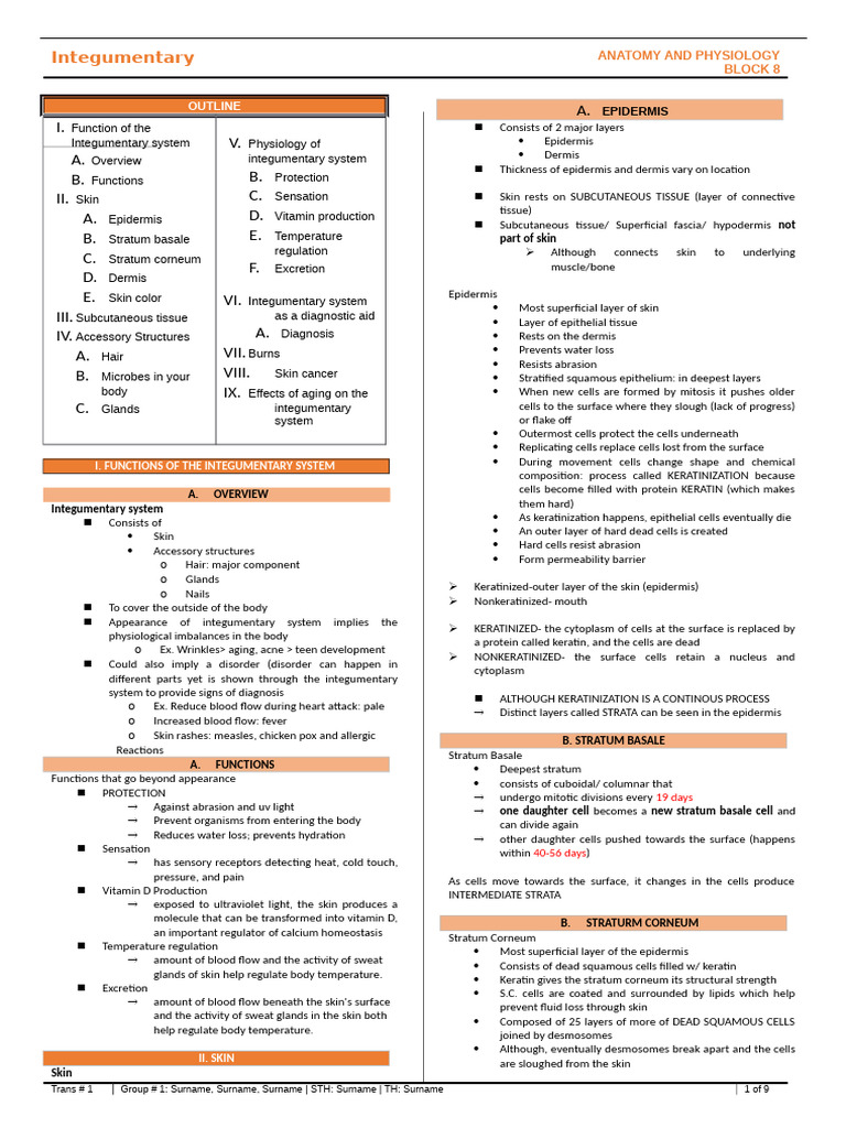 Anatomy Integumentary System | PDF
