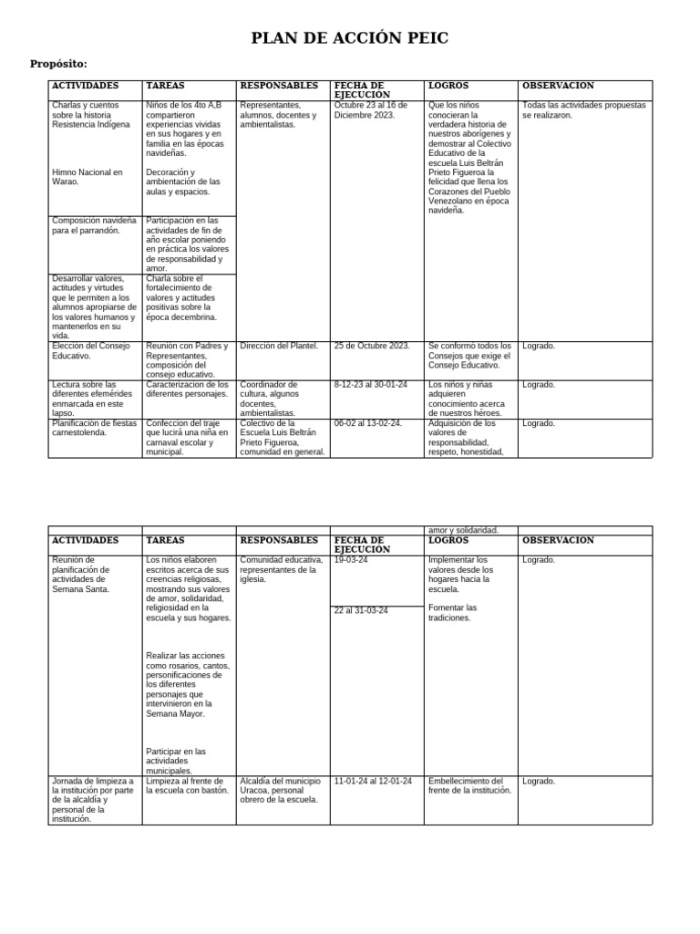 Plan de Acción Peic | PDF | Escuelas