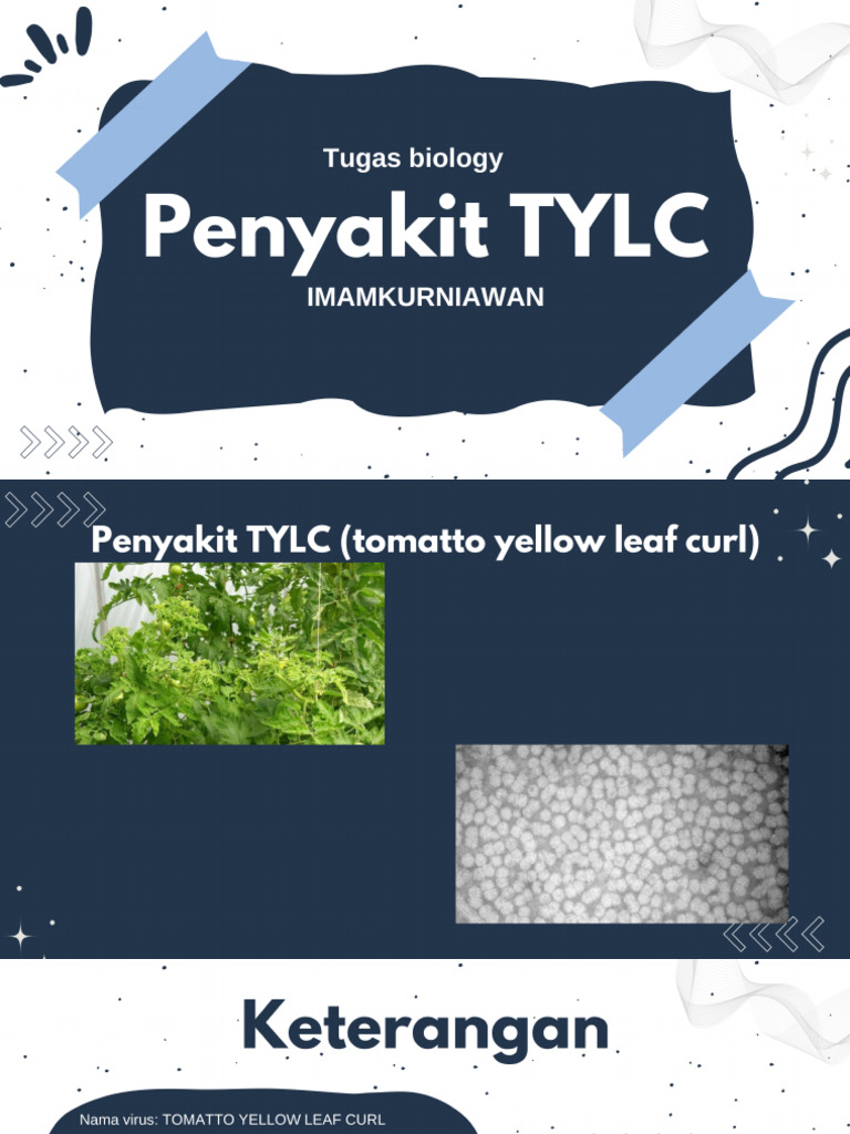 Imam Kurniawan - XA - TYLC | PDF
