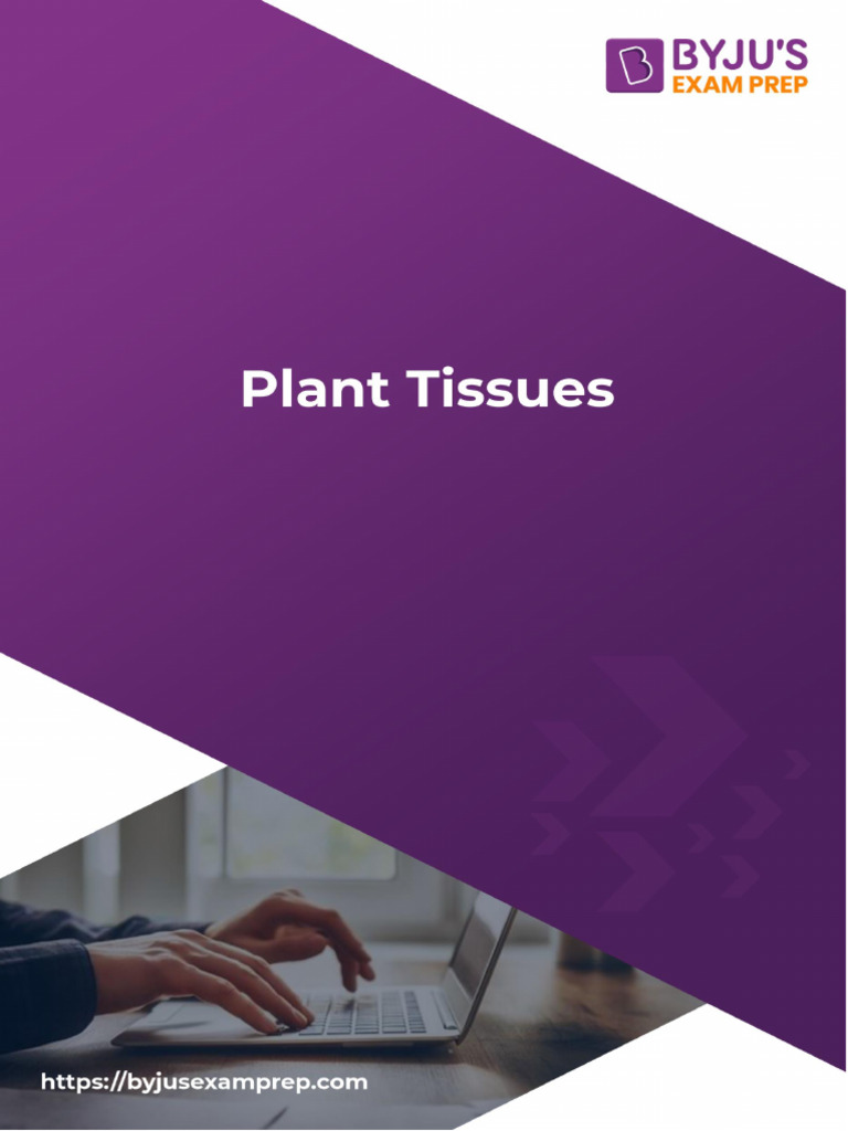 Plant Tissue Pdf