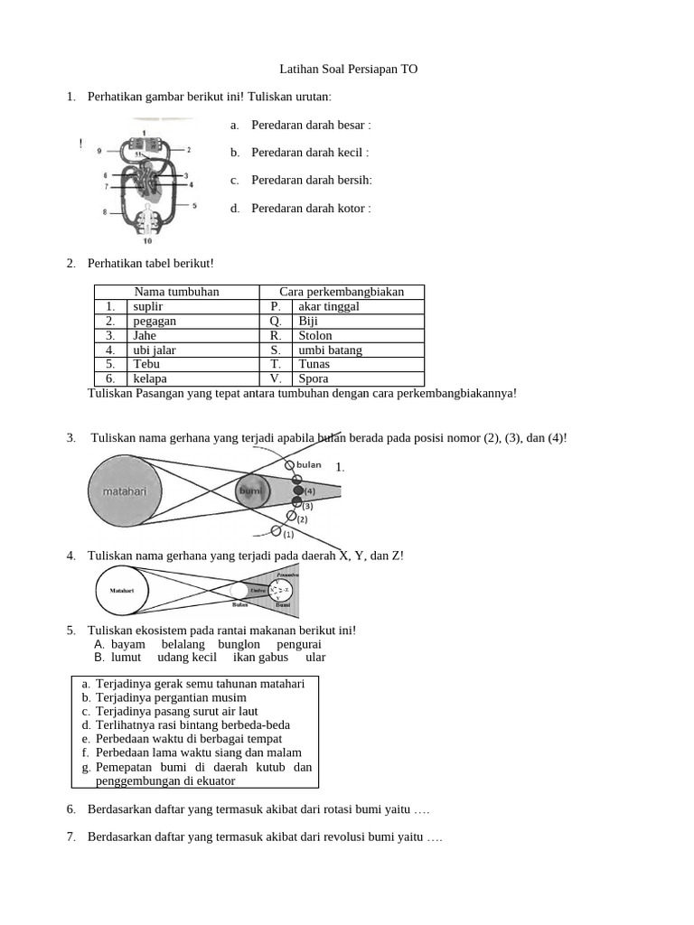Latihan Soal To | PDF