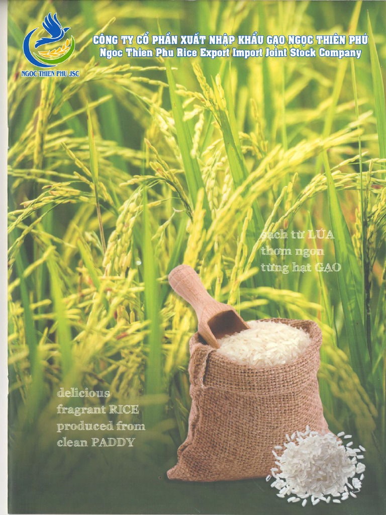 Brochure Ngoc Thien Phu | PDF