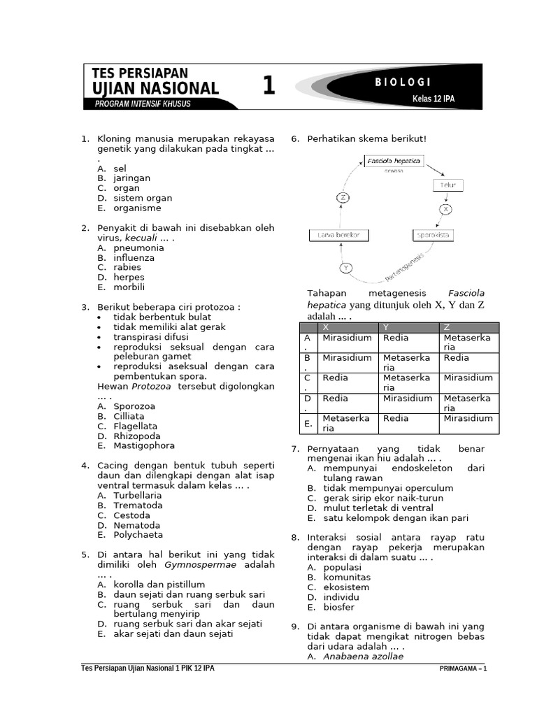 Bio Sim QC | PDF