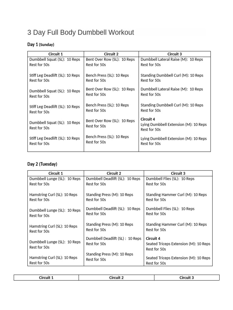 Workout Program | PDF