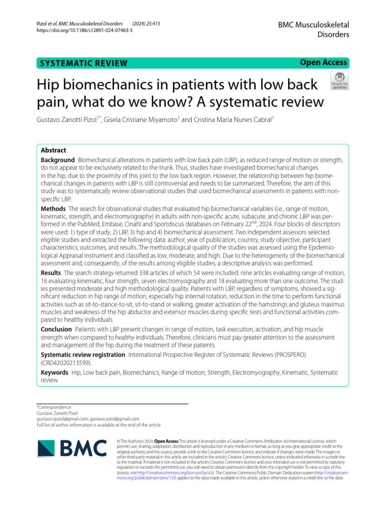 Hip Biomechanics in Patients With Low Back Pain, What Do We Know A ...