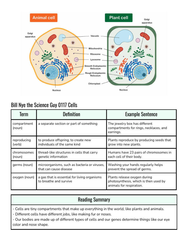 Bill Nye The Science Guy 0117 Cells - by Diffit (Printable) | PDF